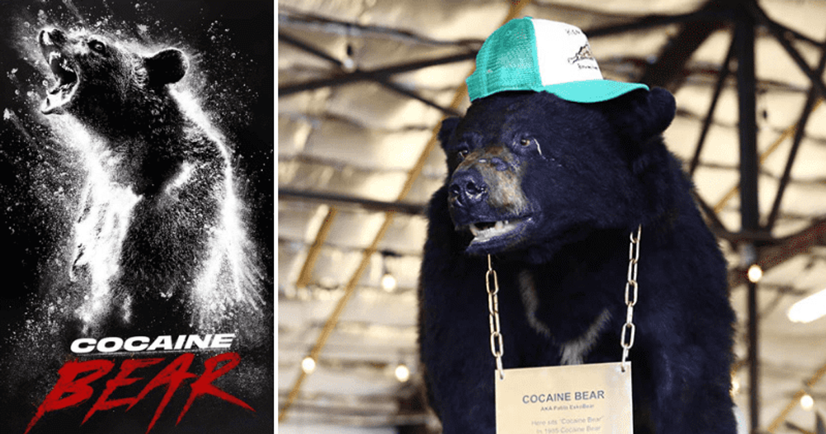 Cocaine Bear Berlin